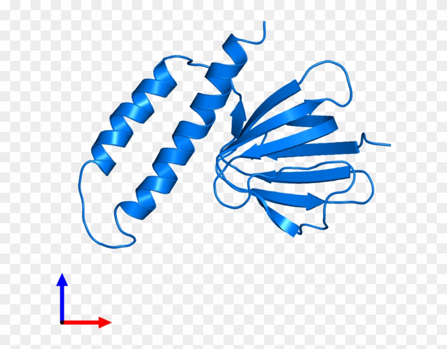 Download pdb Entry 1bsn Contains 1 - Illustration Clipart (#3945722 ...