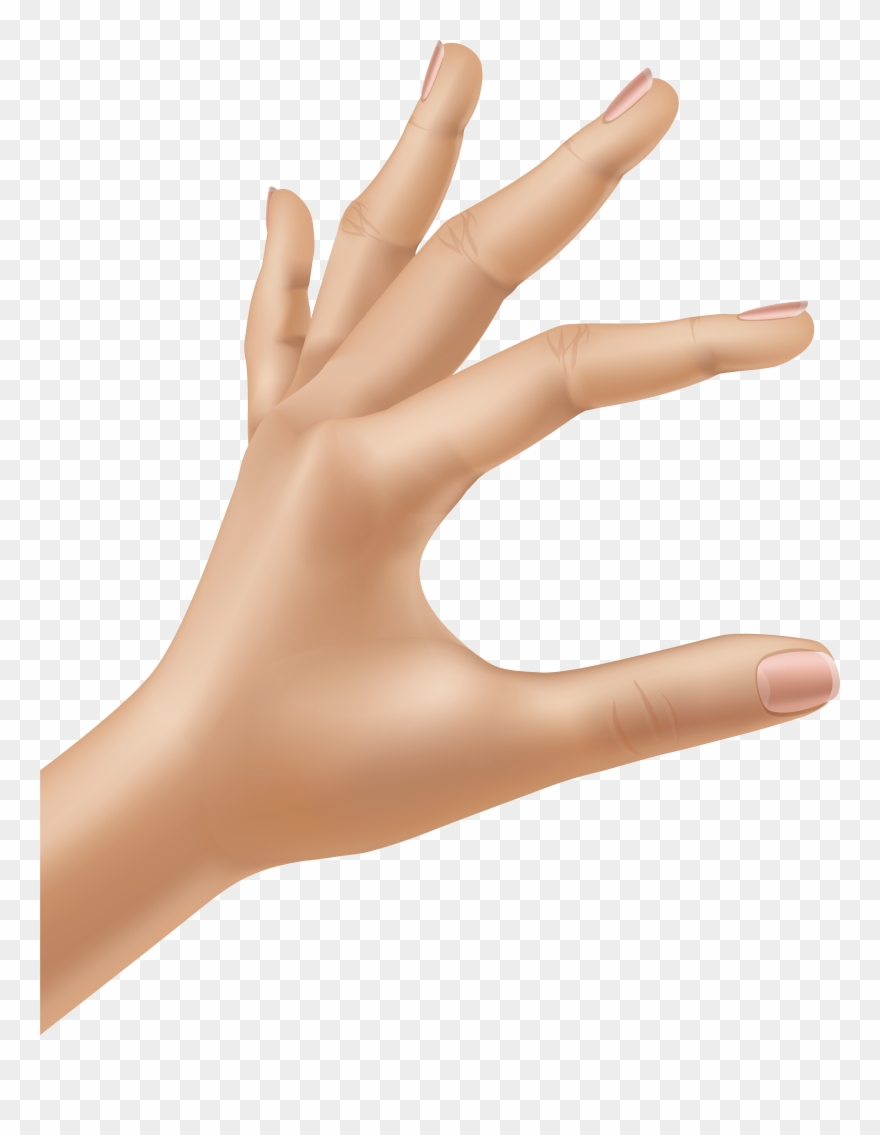 Hand Transparent Png Clip Art Image (#3970966) - PinClipart