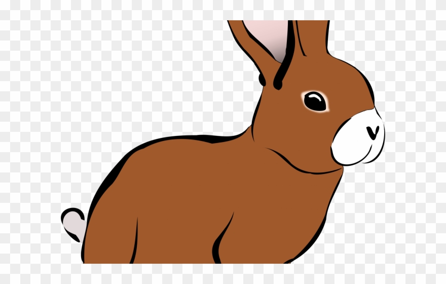 Download Small Clipart White Rabbit - Rabbit Pet Clipart - Png Download ...