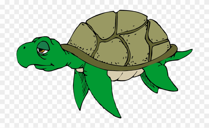 Cartoon Turtle Clipart Free Clip Art Image Image - Sad Turtle Clip Art ...