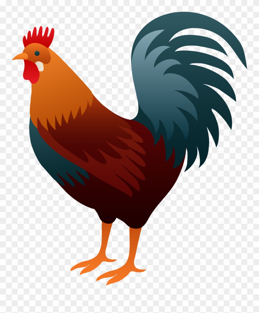 Colorful Rooster Clip Art - Rooster Clipart - Png Download (#45081 ...