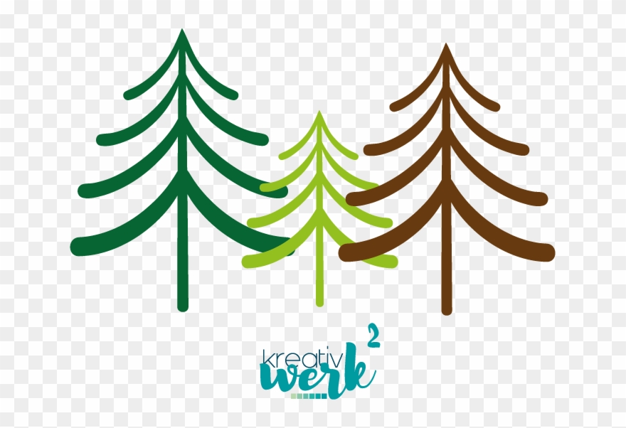 Tanne Clipart - Png Download (#4037262) - PinClipart