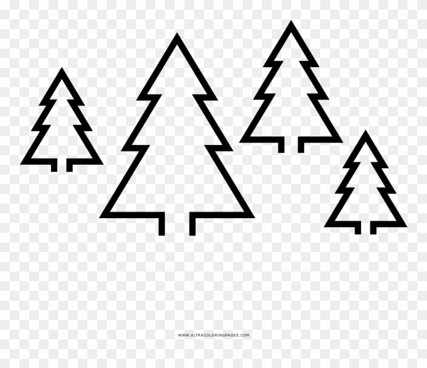 Forest Coloring Page - Evergreen Symbol Clipart (#4085898) - PinClipart