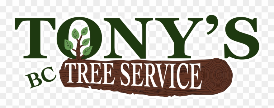 Download Tree Service Clipart (#4135747) - PinClipart