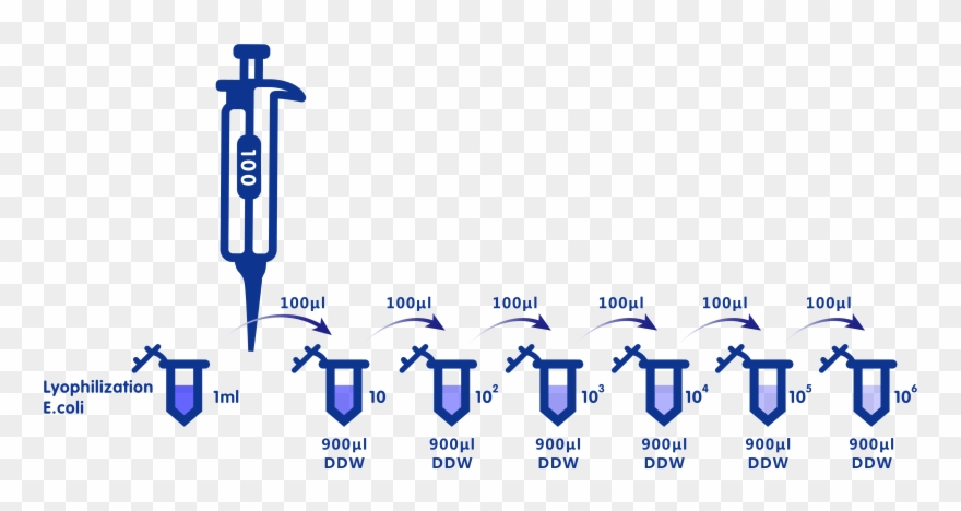 Gradient Dilution Clipart (#4145216) - PinClipart