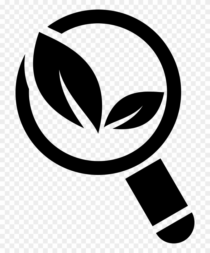 Organic Search Symbol Of Magnification Tool With Leaves - Organic ...