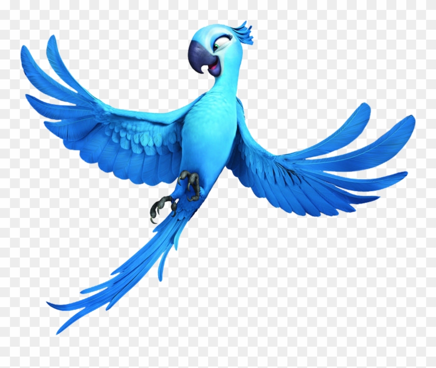 Another Great Set Of Free Png Transparent Clip Arts - Rio Jewel ...