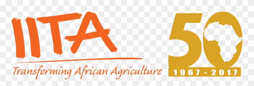 11012 X 3539 1 0 - Iita Logo Clipart (#4171941) - PinClipart