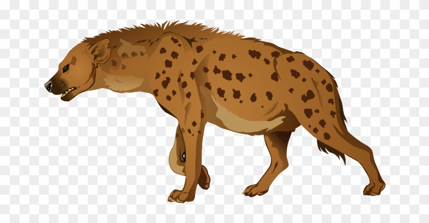 Spotted Hyena Clipart (#4191900) - PinClipart