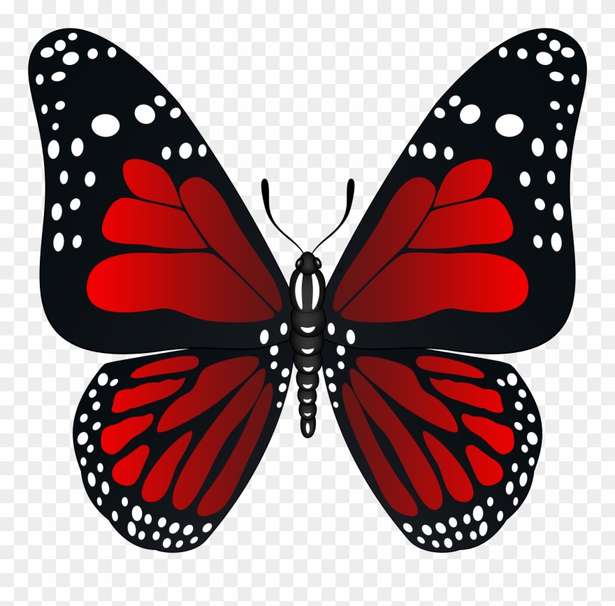 Red Butterfly Transparent Png Image Clipart (#4221906) - PinClipart