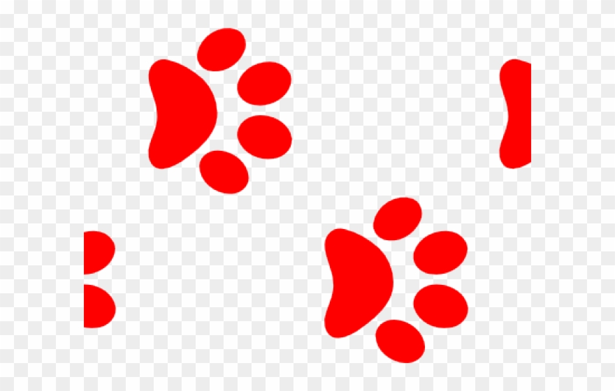 Paw Border Clipart - Png Download (#4225024) - PinClipart