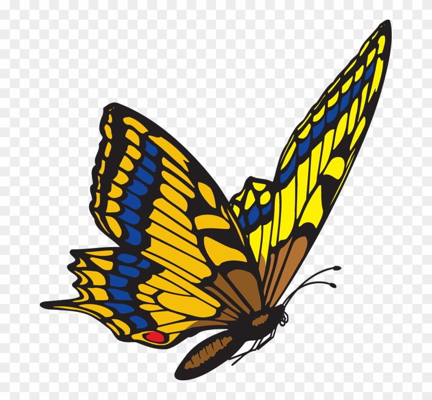 Clipart Of Butterfly, Creative Commons Open And Bay - Papilio Machaon ...