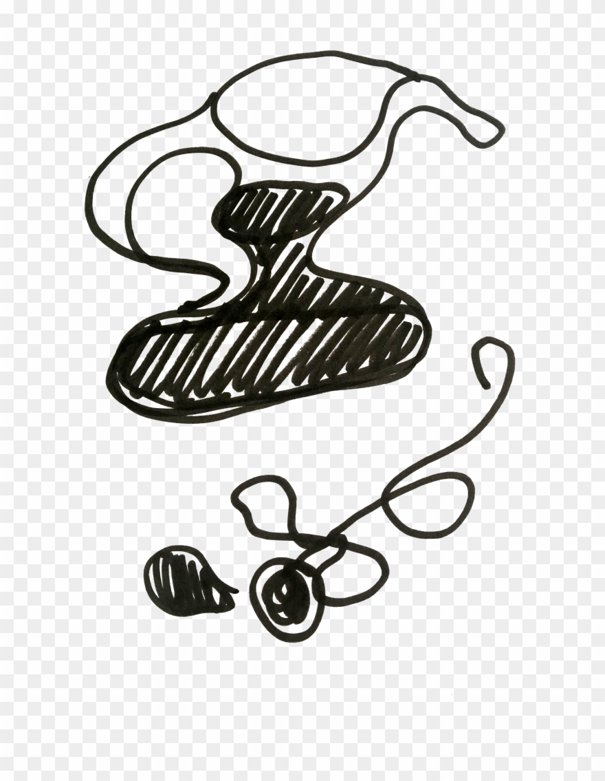 Download Lecchino, Moraiola And Arancino Olives Is Produced - Drawing ...