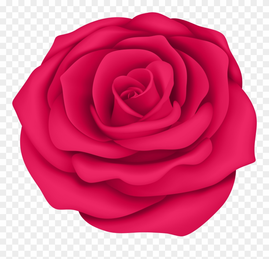 Pink Rose Clip Art - Png Download (#439481) - PinClipart