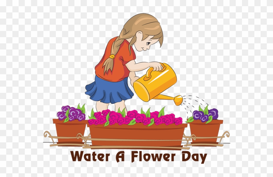Water A Flower Day