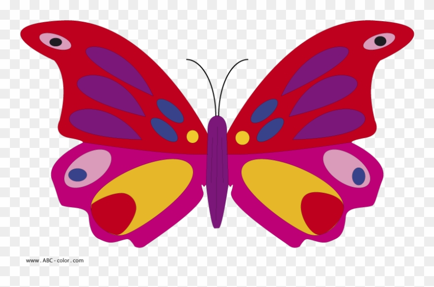 Butterfly Raster Picturet - Bitmap Butterfly Clipart (#459294) - PinClipart