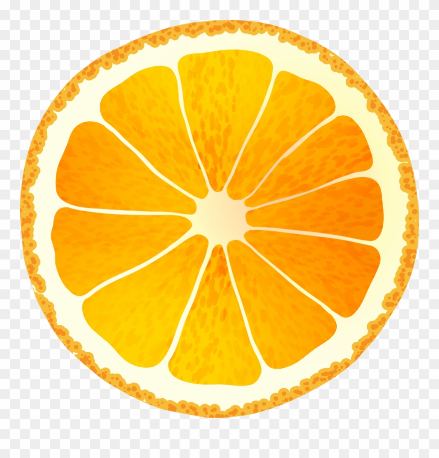 Circle Orange Slice Png Clipart Image Transparent Png (#4591905 ...