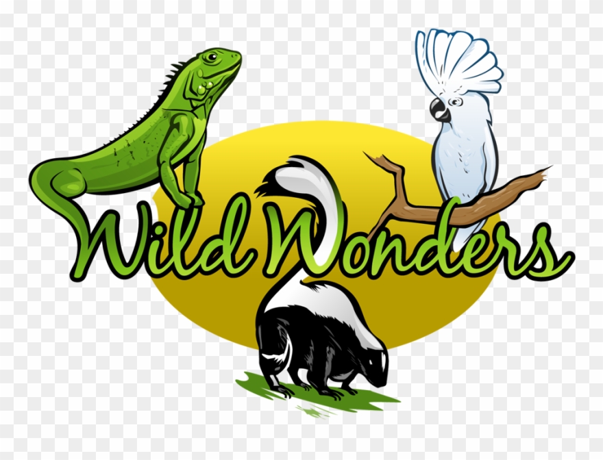 Logo - Wild Wonders Animal Show Clipart (#472801) - PinClipart