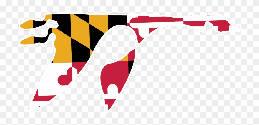 Color/white Outline Clipart (#478761) - PinClipart