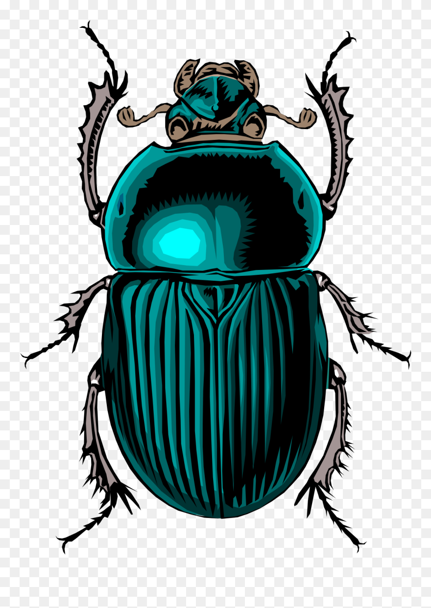 Download Free Scarabe - Scarab Beetle Drawing Clipart (#489671 ...