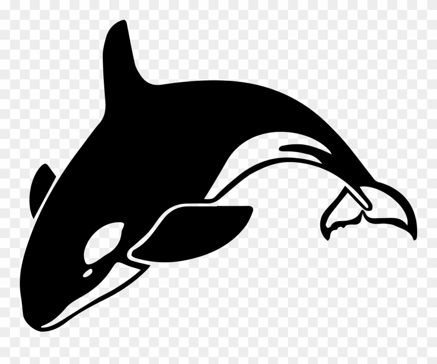 Hbase Logo Png Transparent - Apache Hbase Logo Clipart (#4870484) - PinClipart