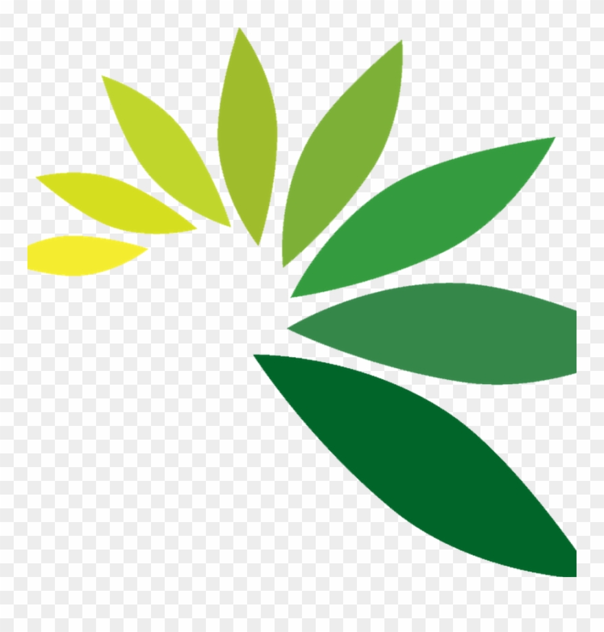Download Leaf Logo Png Leaves Png For Logo Clipart 4909764