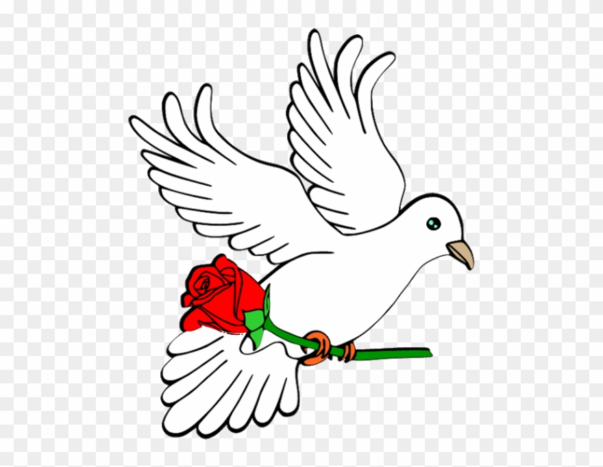 Creating In Paradise - Dove And Rose Clip Art - Png Download (#4948123 ...
