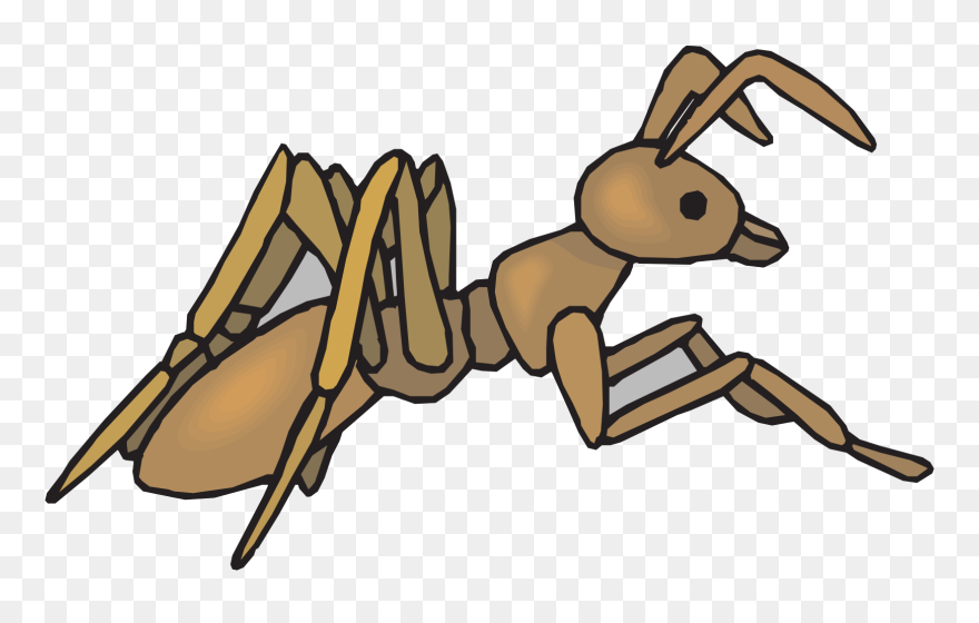 5 Imagenes De Color Cafe Clipart (#4998663) - PinClipart