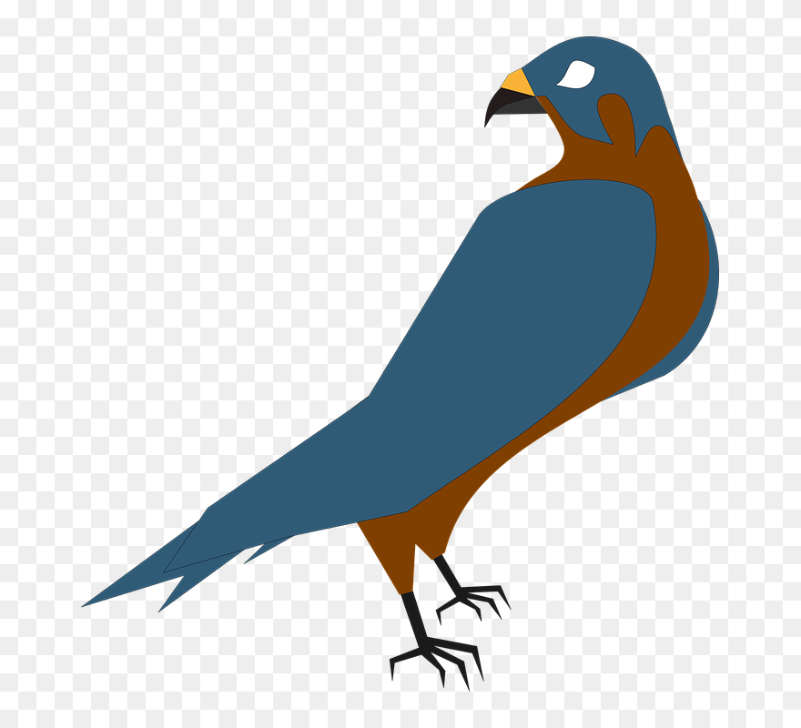 Raptor Bird Cliparts - Raptor Bird Clipart - Png Download (#4998786 ...