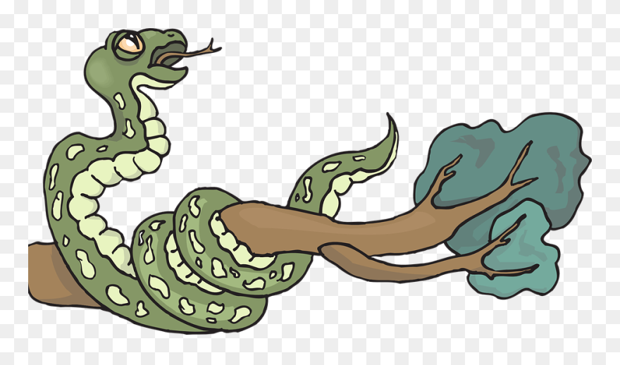 Clip Art Royalty Free Stock Collection Of Free Branches - Snake In A ...