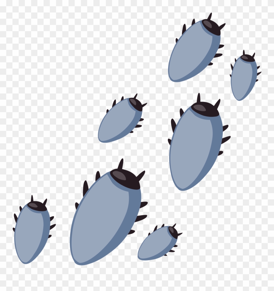 All Photo Png Clipart - Software Bug Transparent Png (#504387) - PinClipart