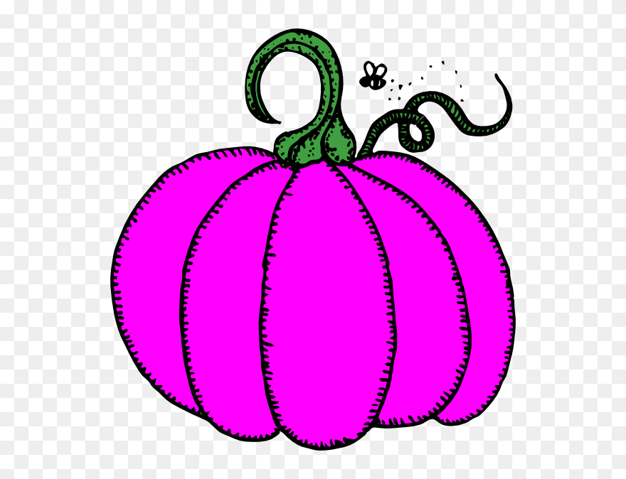 Download Circle Pumpkin Clipart Clipart Transparent Library - Pumpkin ...