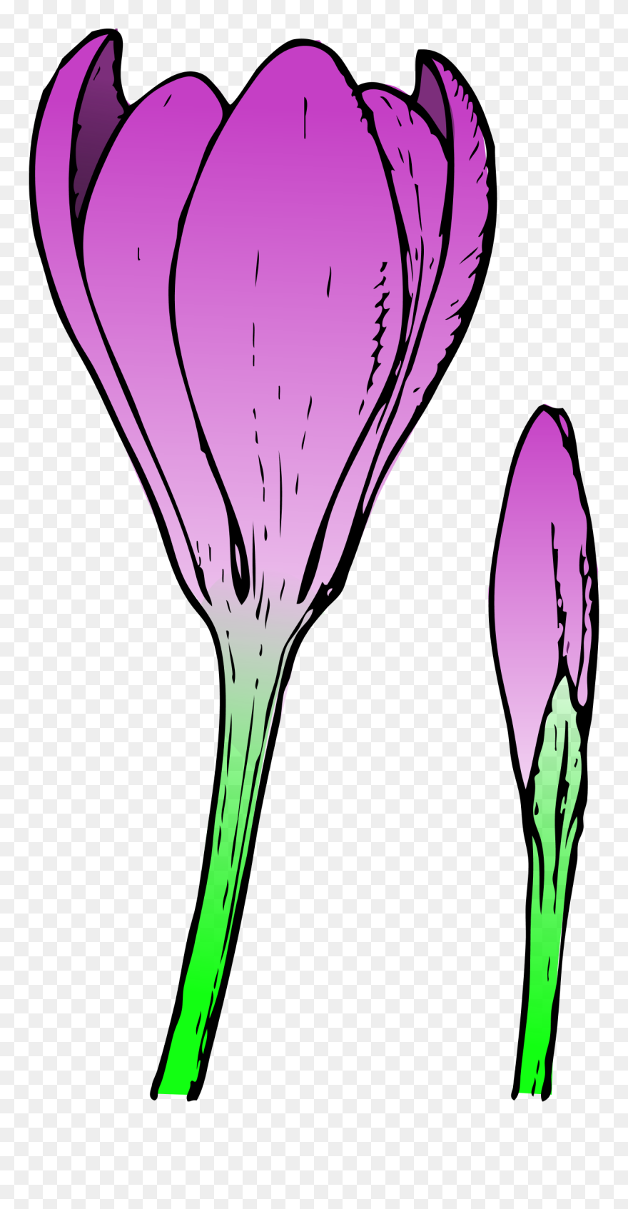 Spring Flowers Spring Flower Clip Art Images Clipart - Flower Bud ...