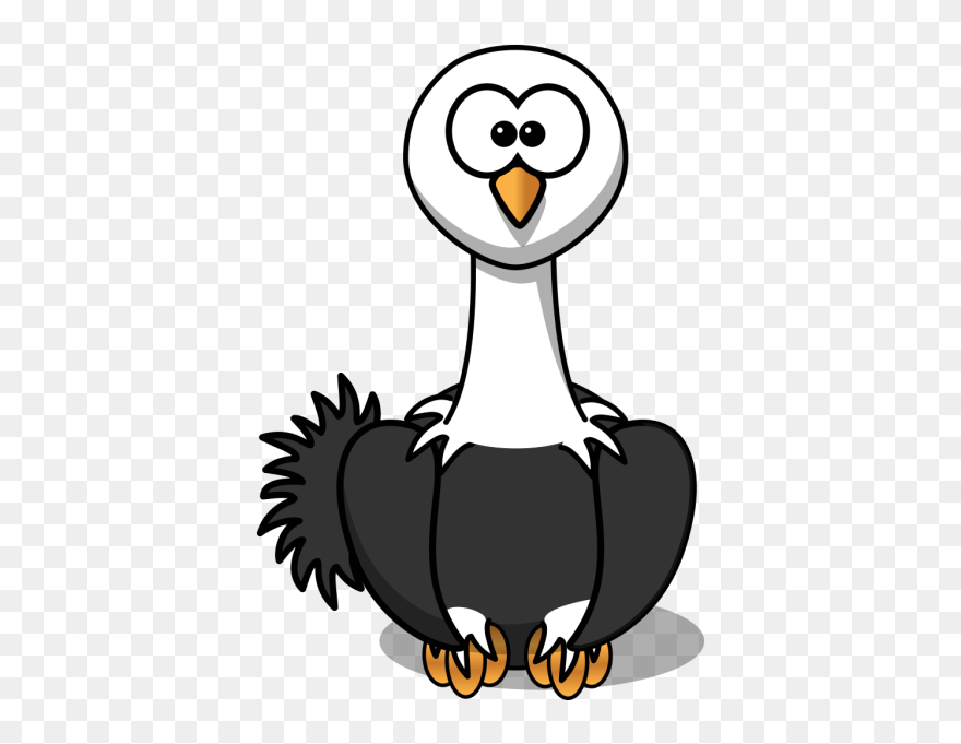 Ostrich With Black Feathers Png Images - Transparent Png Clipart ...