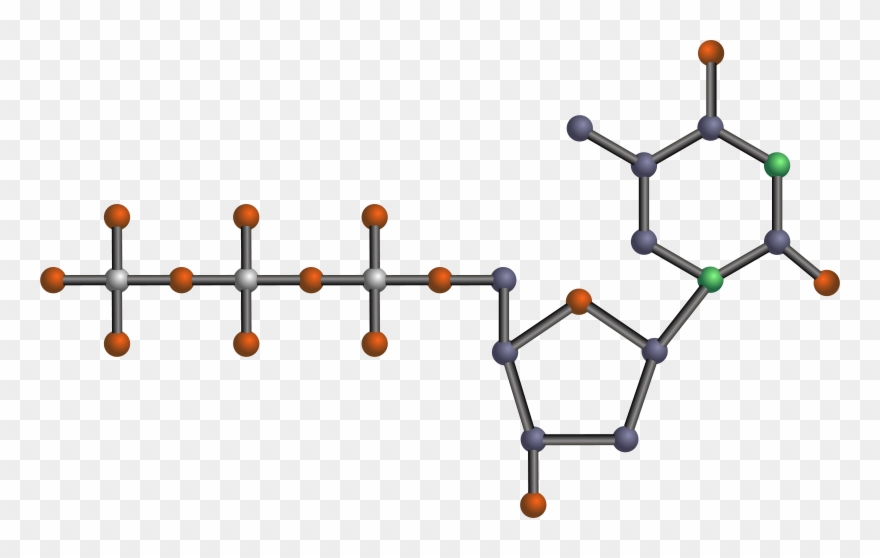 Free Ttp - Nucleotide Clipart - Png Download (#524759) - PinClipart