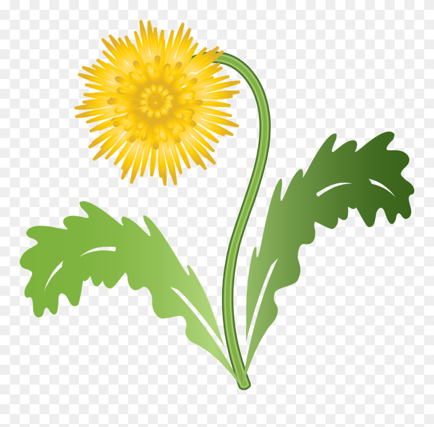 Colorful Dandelion Clip Art