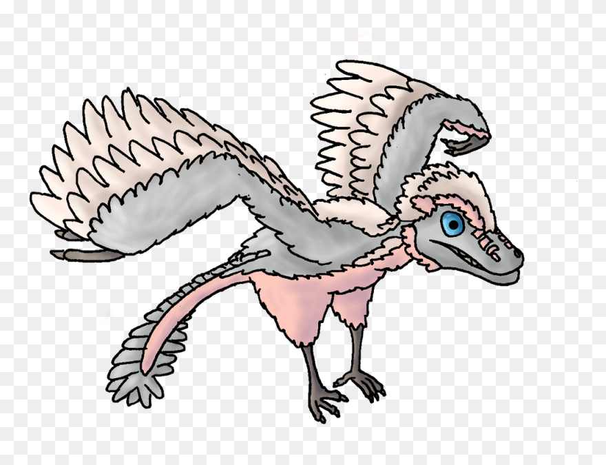 Ark Survival Evolved Archaeopteryx - Ark Survival Evolved Drawings ...