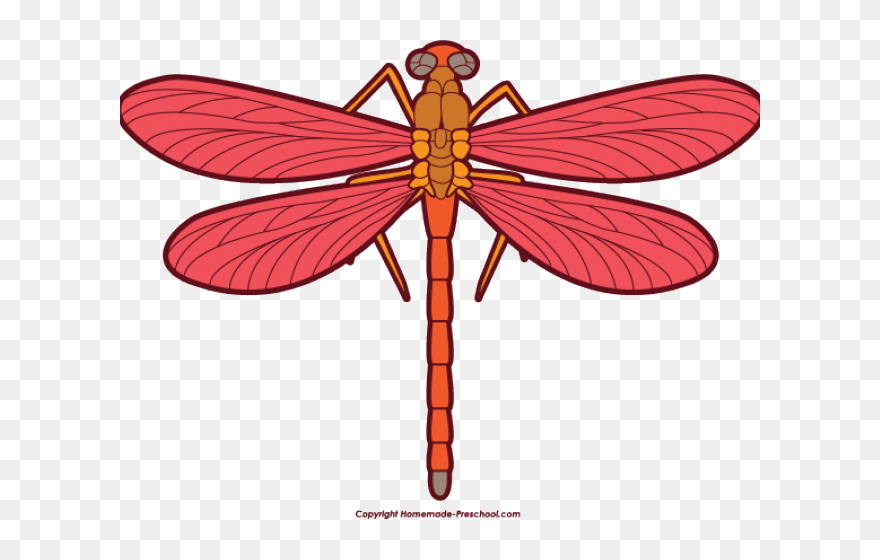 Dragonfly Clipart Small Animal - Dragonfly Cliparts - Png Download ...