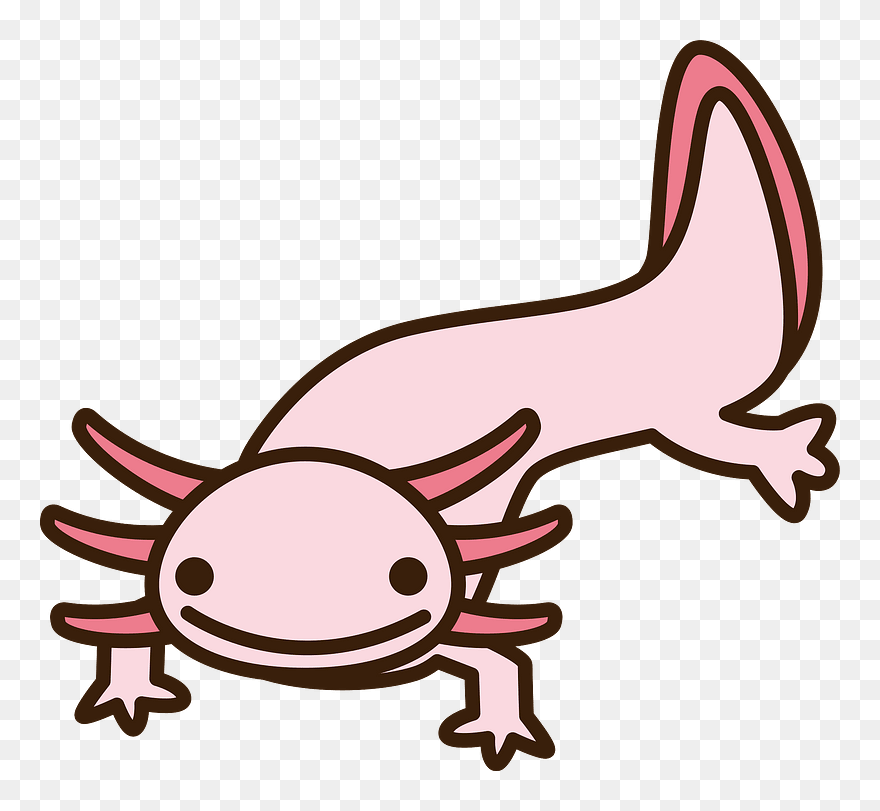 Mexican Salamander Axolotl Clipart - Axolotl - Png Download (#5213989 ...