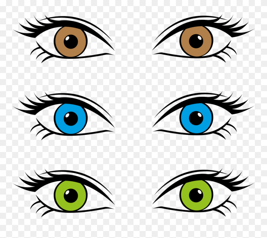 Download Line Art,head,eye - Eye Color Clipart - Png Download (#5214284 ...