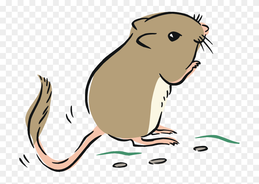 Download Transparent Rat Clip Art - Cartoon Rat Transparent - Png ...