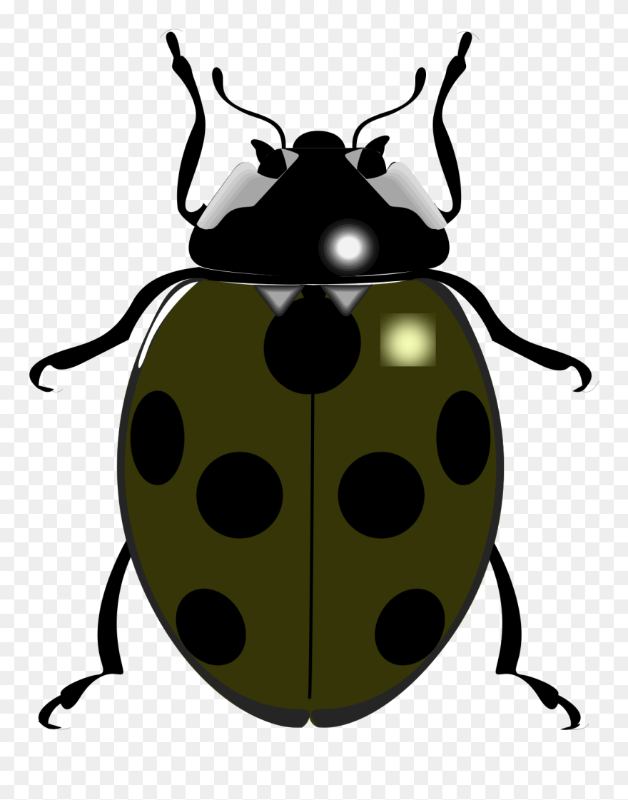 Green Ladybug Clipart - Drawings Of Lady Bird - Png Download (#5216144 ...
