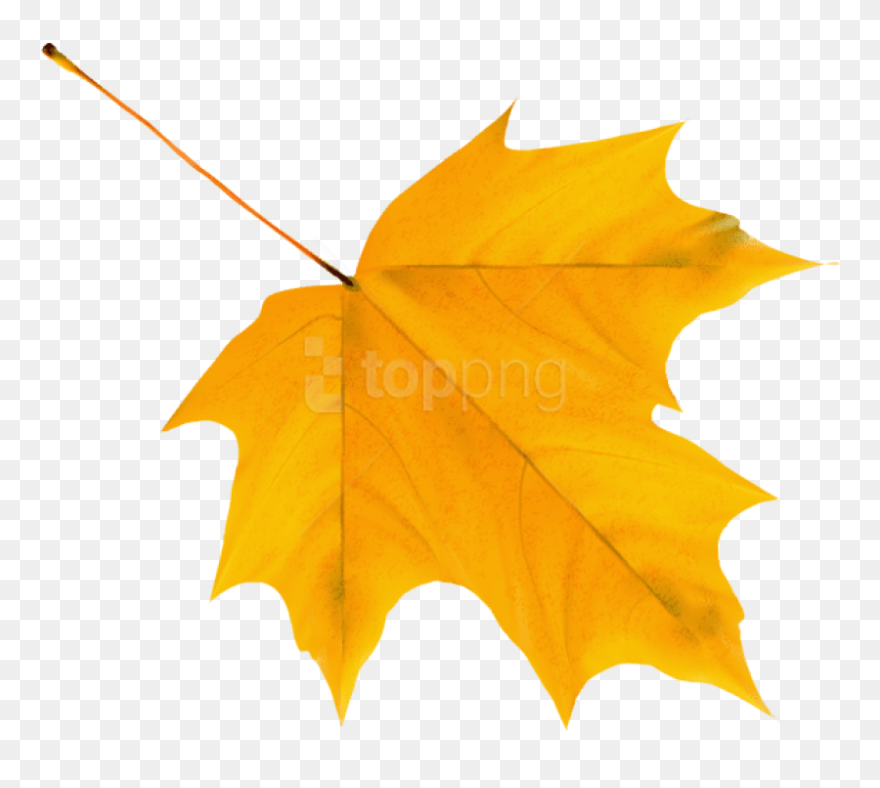 Free Png Download Yellow Autumn Leaf Clipart Png Photo - Yellow Fall ...