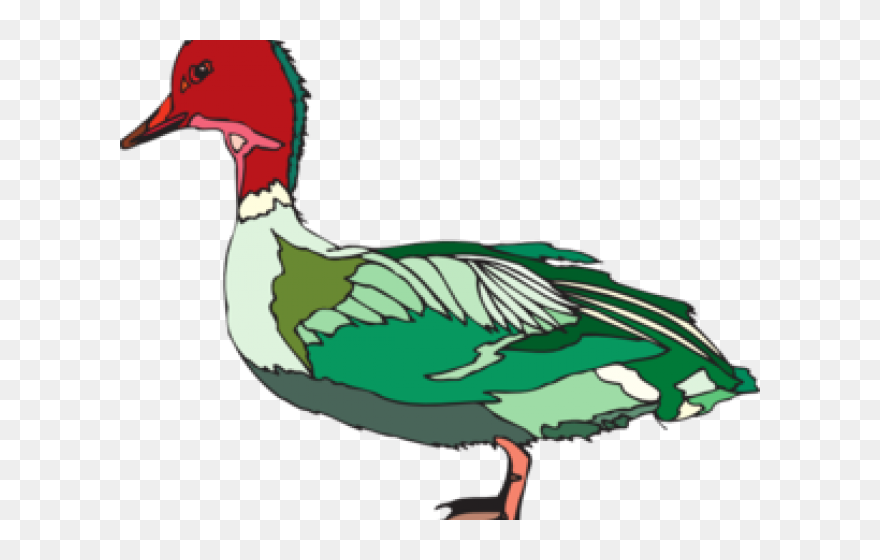 Red Duck Cliparts - Red And Green Ducks - Png Download (#5223461 ...