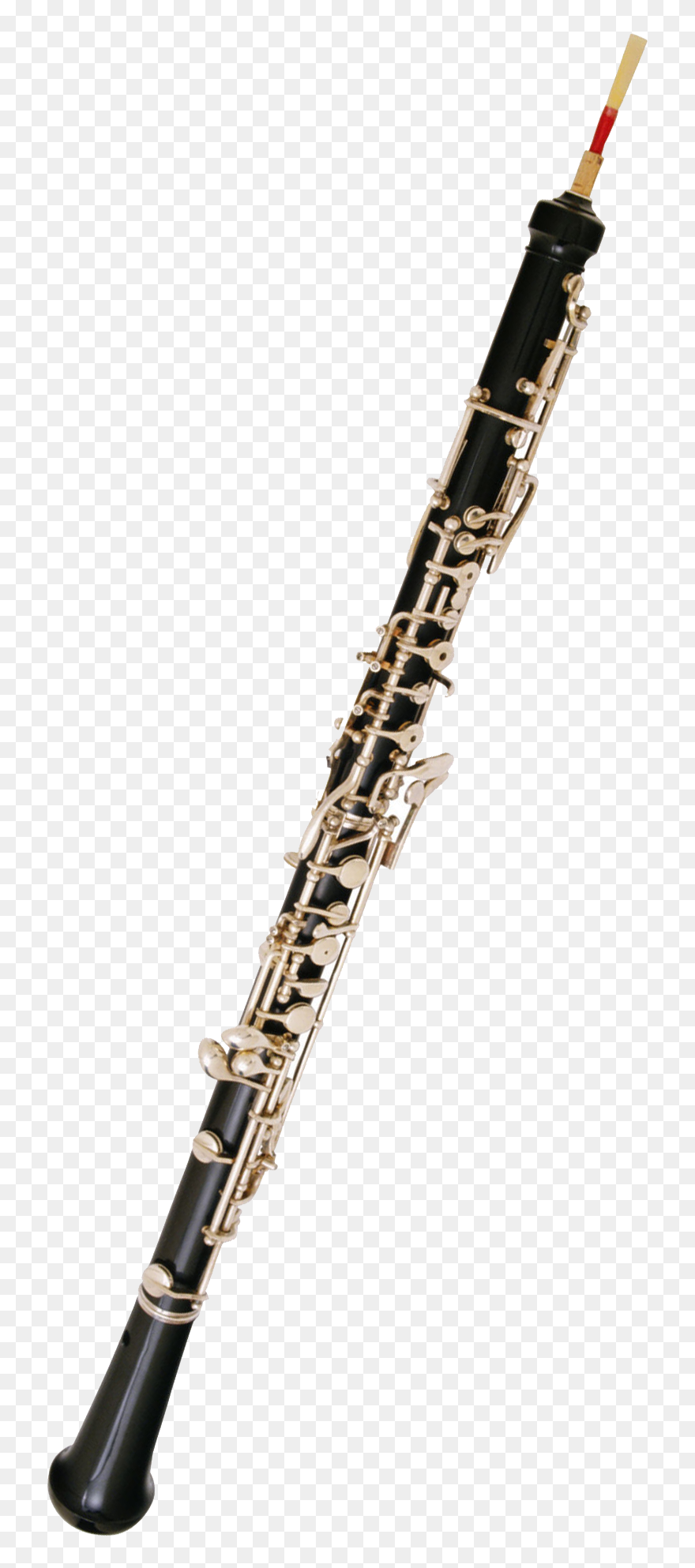 Download Bass Oboe Related Keywords Suggestions - Transparent Oboe Png ...