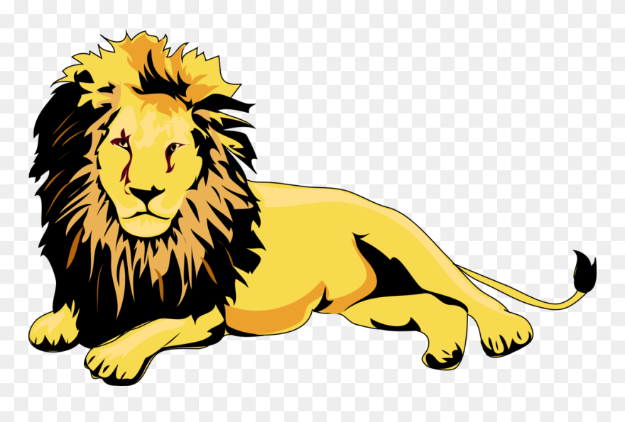 Carnivoran,yellow,lion - Transparent Background Lion Clipart Png ...