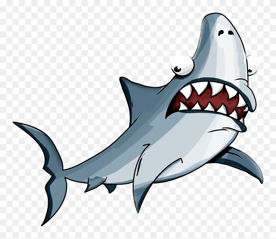Download Funny Shark Clipart - Scared Shark Cartoon Transparent - Png ...