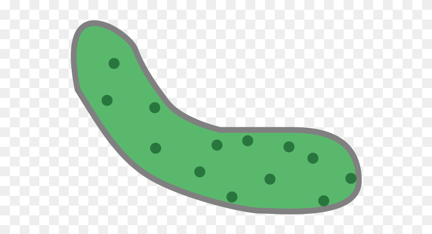 Gourd Clipart (#5242093) - PinClipart