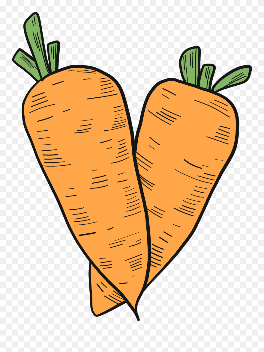 Download Two Carrots Clipart - Carrot - Png Download (#5244641 ...