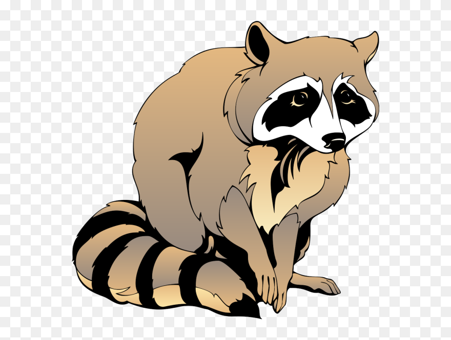 Raccoon Clipart - Png Download (#5255951) - PinClipart